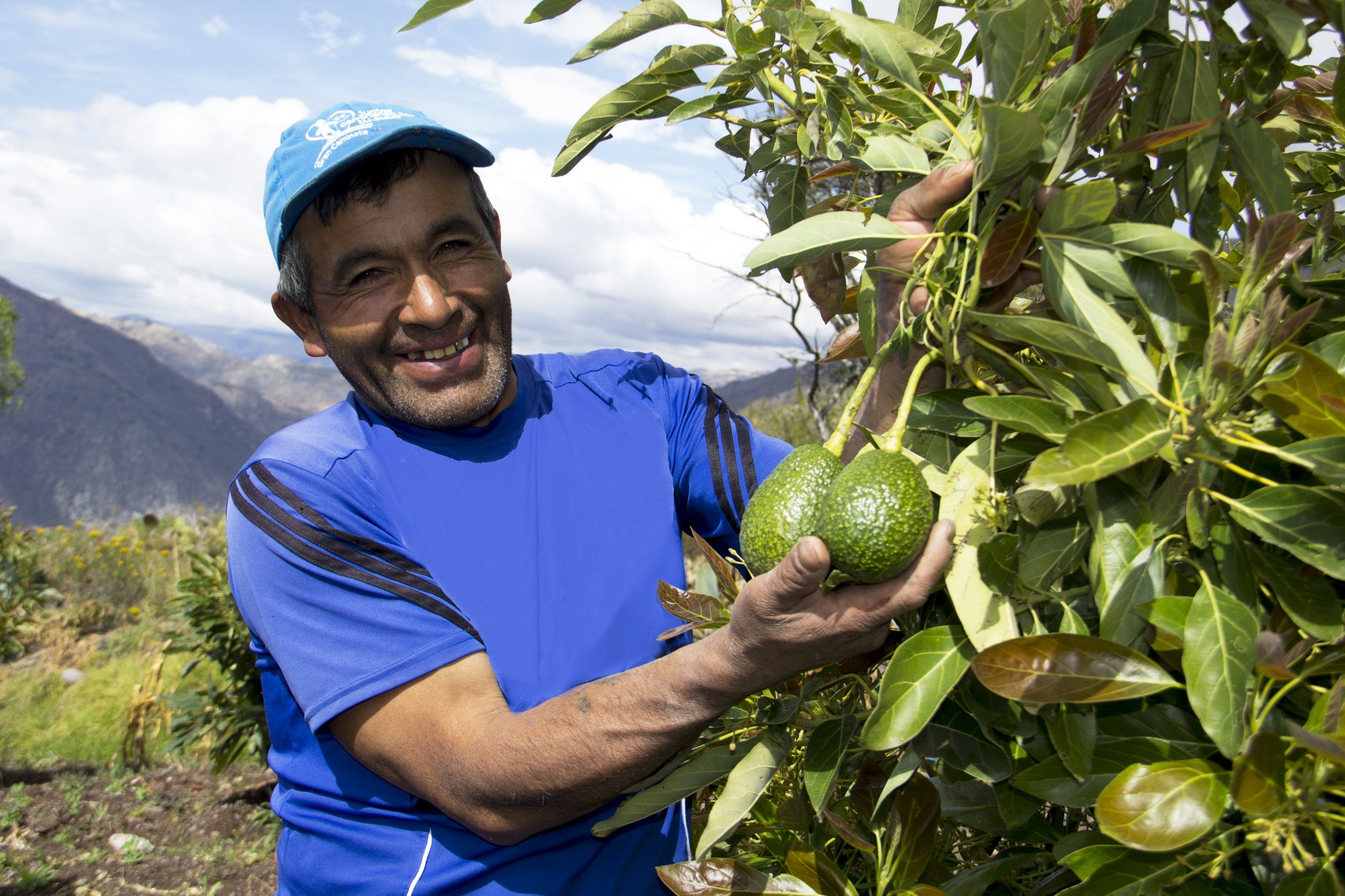 Agricultura En El Per Origen Y Tipos Ayuda En Acci n Per Agricultura En El Per Origen Y Tipos Ayuda En Acci n Per